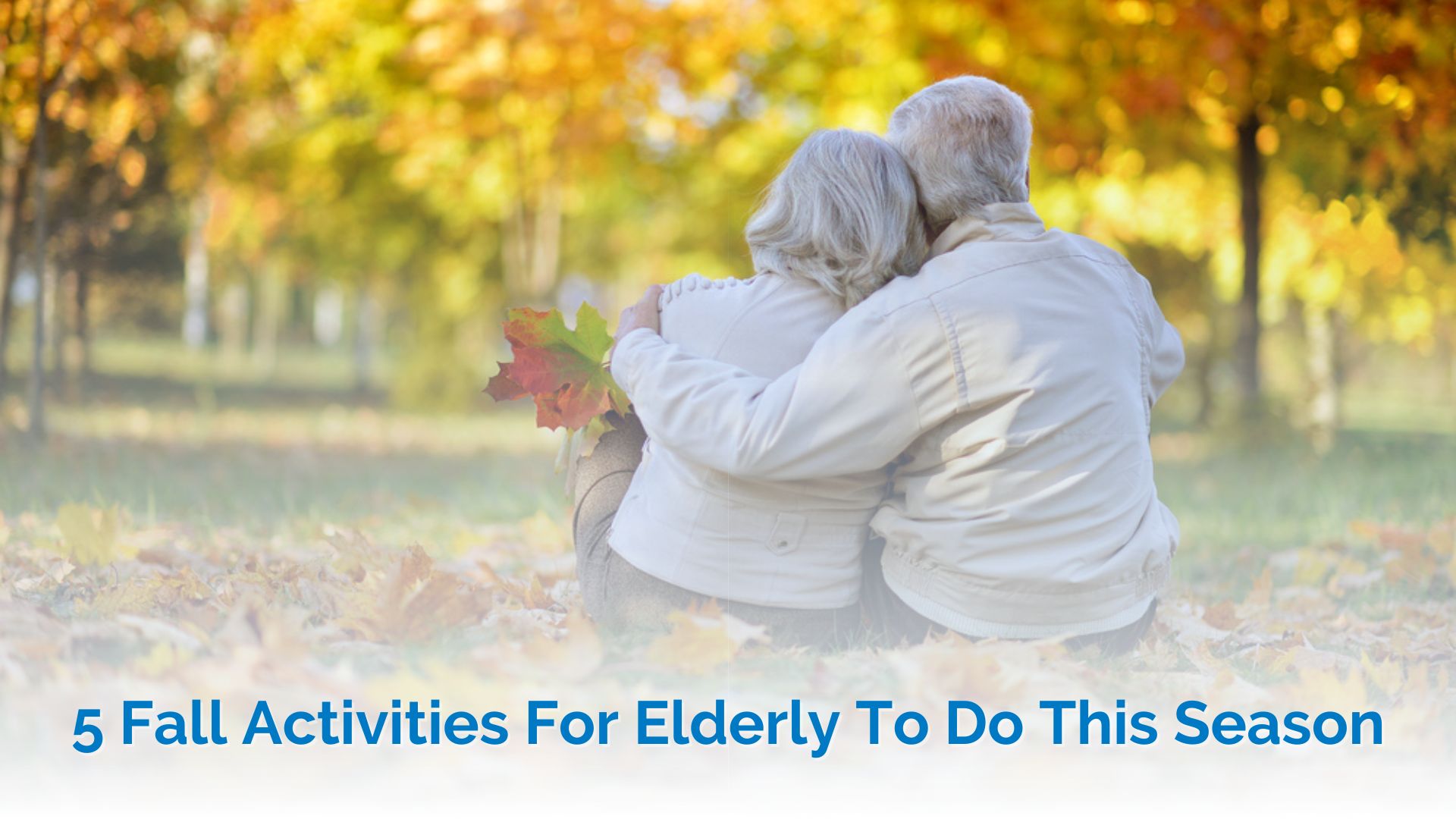5 Fall Activities For Elderly To Do | Sunny Days In-Home Care